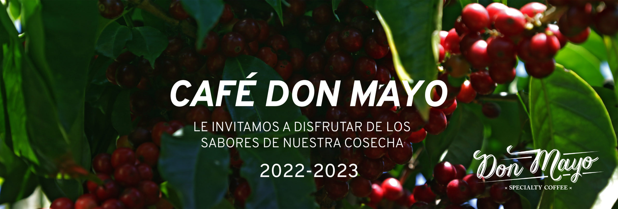 home - Tienda Café Don Mayo