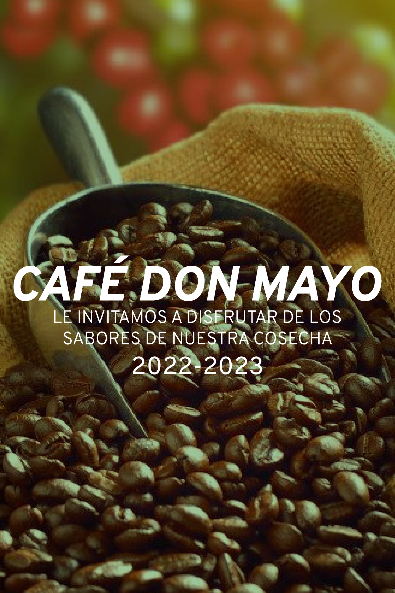 home - Tienda Café Don Mayo