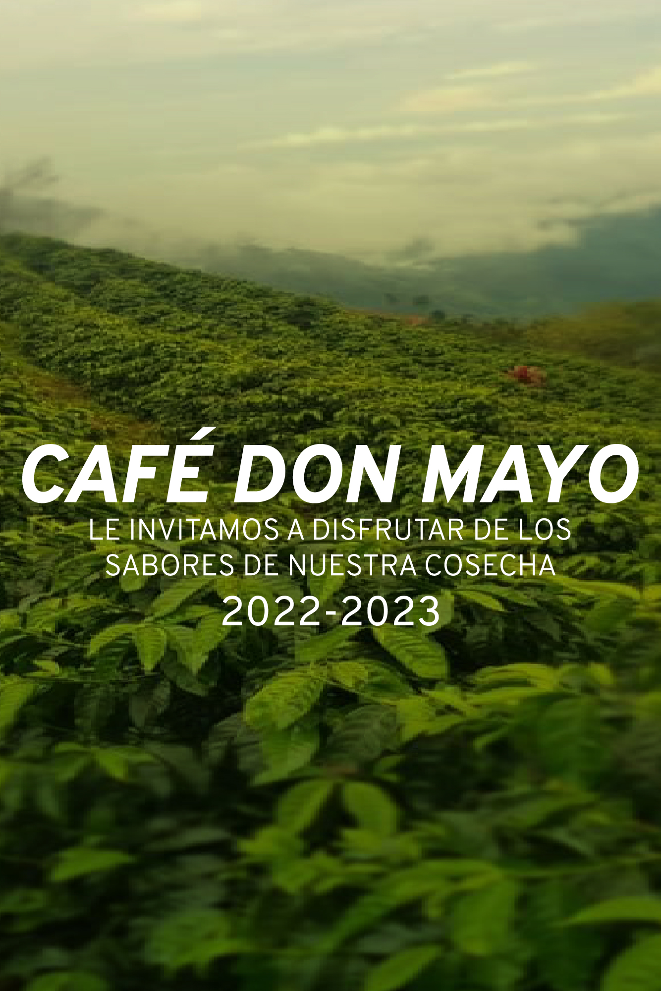 home - Tienda Café Don Mayo